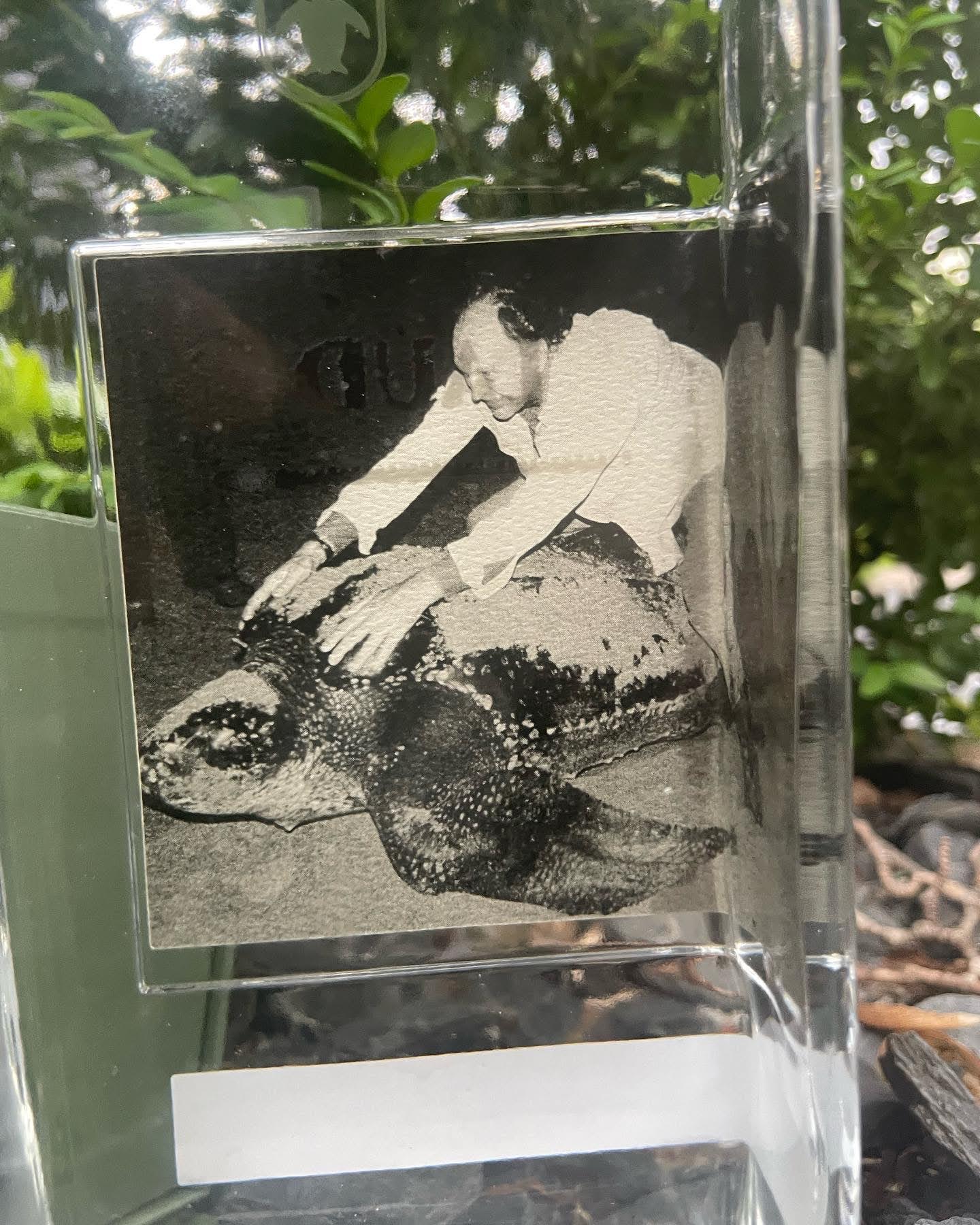 Laúd Tequila Blanco Expression Quick Review & Ranking – Tequila Lovers ...